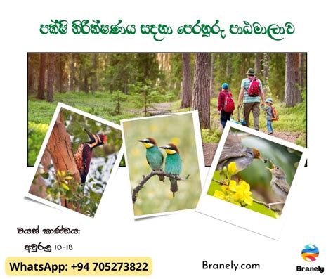 Branely සිසු සිසුවියන්ගේ පාරිසරික සාක්ෂරතාවය වැඩි දියුණු කිරීම උදෙසා පක්ෂි නිරීක්ෂණය පිළිබද