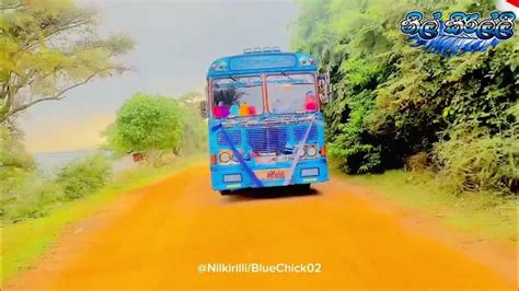 මල් කුමාරියක් 😍 ️ඊයේ ත්‍රීකුණාමලයේදී 🌊 Youtube