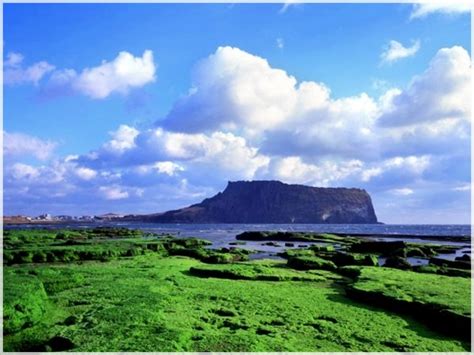 제주도 】세계 7대 자연경관에 제주도 선정 네이버 블로그