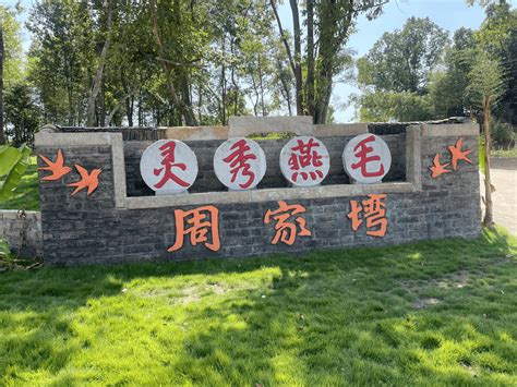 浠水燕毛咀村村民共谋聚同心缔造美好新家园 闵瑜 环境 村里
