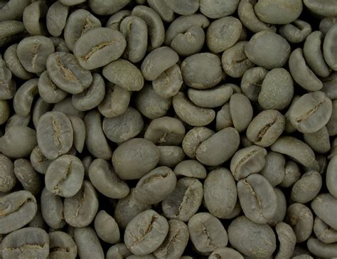 Kosher Certified Coffee Private Label Coffee Joes Garage