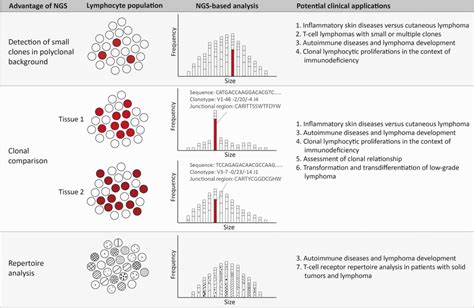 Advantages And Potential Clinical Applications Of Ngs Amplicon Based Download Scientific