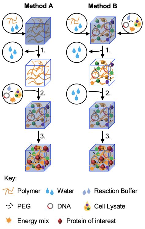 Methods For Embedding Cell Free Protein Synthesis Reactions In Macro
