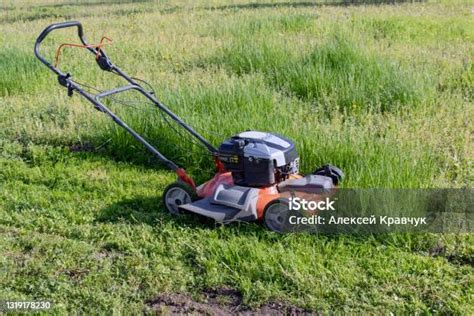 꽃으로 둘러싸인 무성한 녹색 잔디밭에 잔디 깎는 기계 집 뒤뜰 잔디에 대한 스톡 사진 및 기타 이미지 잔디 앞마당 또는 뒷마당 무성한 Istock