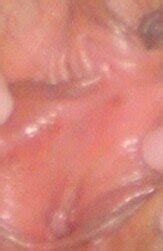 Beautiful Amateur Latina Liz Rodriguez Likes Sex Sharing Liz Liza Rodriguez Miami Dade