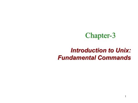 Unix Fundamental Commands Intro To Operating Systems
