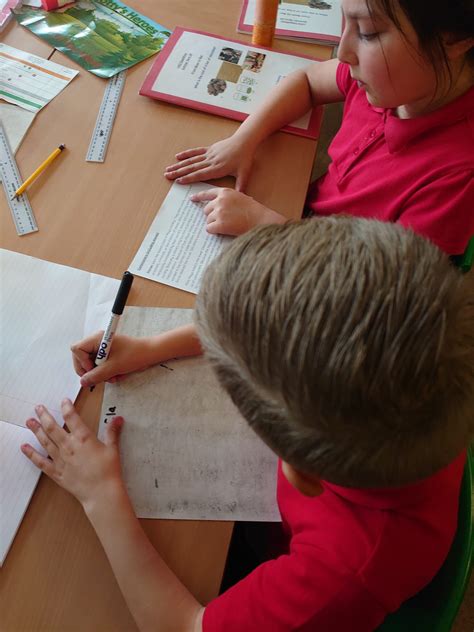 Mayan Hierarchy Carcroft School