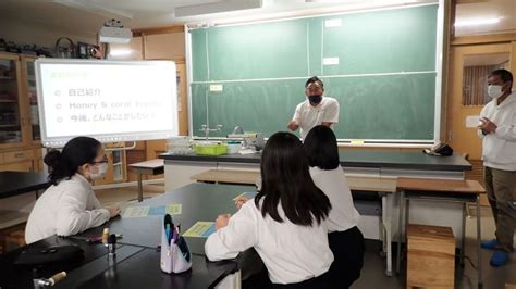 Okinawa Institute Of Science And Technology On Linkedin Honeybees