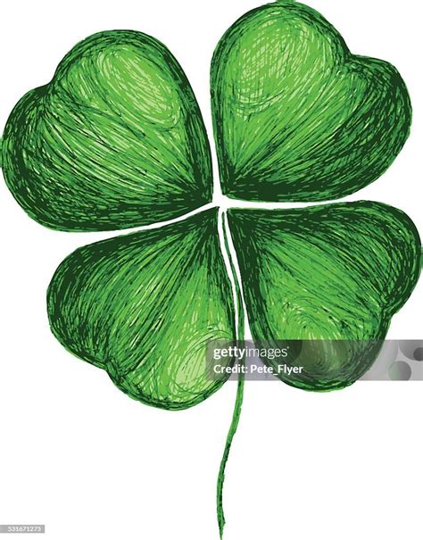 Four Leaf Clover Hand Drawing High Res Vector Graphic Getty Images