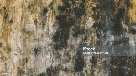 이끼와 물 줄무늬 클로즈업으로 오래 된 벽 텍스처 빈티지 텍스처의 오래 된 건물 0명에 대한 스톡 사진 및 기타 이미지 0명 거친 고대의 Istock