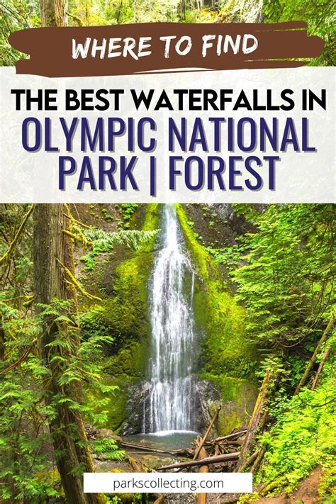 Where To Find The Best Waterfalls In Olympic National Park Forest