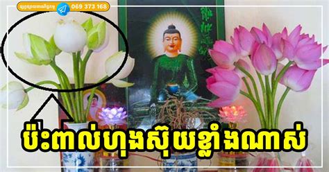 កុំរំលងឱ្យសោះ ផ្កា ៣ ប្រភេទ ហាមដាក់លើអាសនៈរៀងរាល់ថ្ងៃសីល Knongsrok