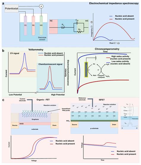 Biosensors An Open Access Journal From Mdpi