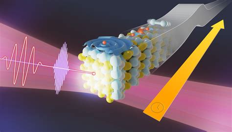 insight into ultrafast phase transitions times
