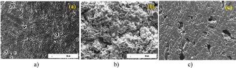 Sem Micrographs Of A Graphite Surface Before Coating B Yttria Download Scientific Diagram