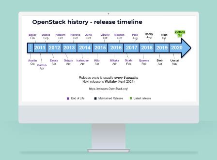 OpenStack Basics Mirantis