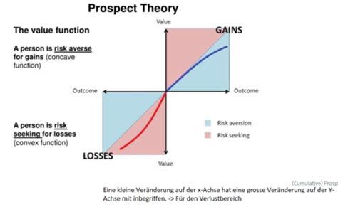 Cumulative Prospect Theory Karteikarten Quizlet