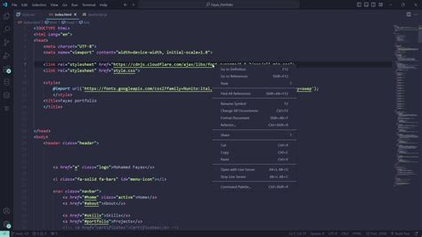Mohamed Fayas On Linkedin Webdevelopment Frontend Portfolio Html