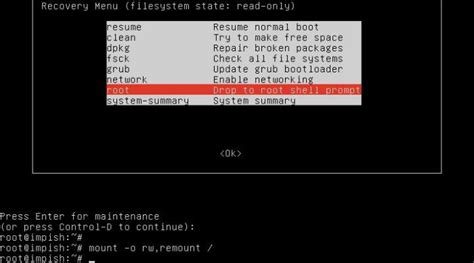 How To Boot Into Rescue Emergency Mode In Debianubuntu And Fedora