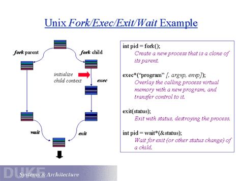 Unix Fork Exec Exit Wait Example