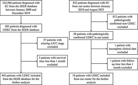 Flowchart Of Data Processing For This Study Download Scientific Diagram