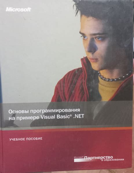 Основы программирования на примере Visual Basic купить с доставкой по