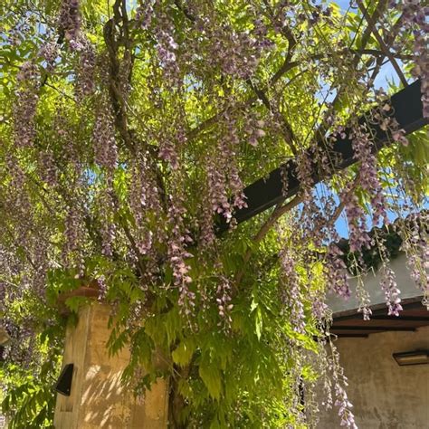 Daria Daria By Threads Say More