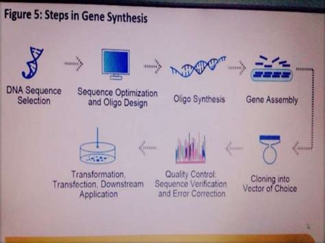 Artificial Gene Synthesis Pptx Biological Sciences Science