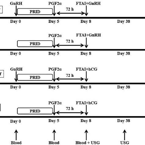 Synchronization Protocols Applied To The Study Groups FTAI Fixed Time Download Scientific