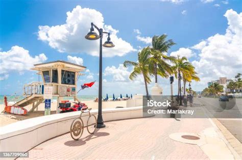포트 로더데일의 화창한 날에 야자수가 있는 해안가 해변 산책로 바다에 대한 스톡 사진 및 기타 이미지 바다 포트로더데일 거리 Istock