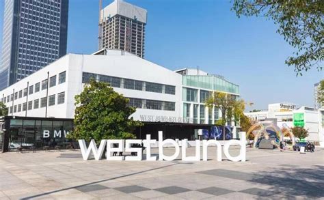 第九届西岸艺术与设计博览会开幕3000件艺术作品汇聚上海 新华网