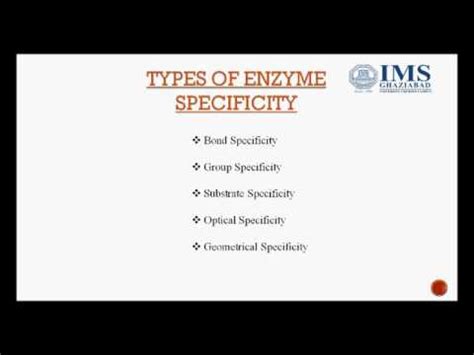 Enzyme Substrate Specificity YouTube