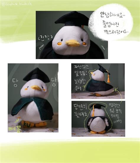 대학별 학사모 쓴 마스코트 인형 인스티즈instiz 이슈 카테고리