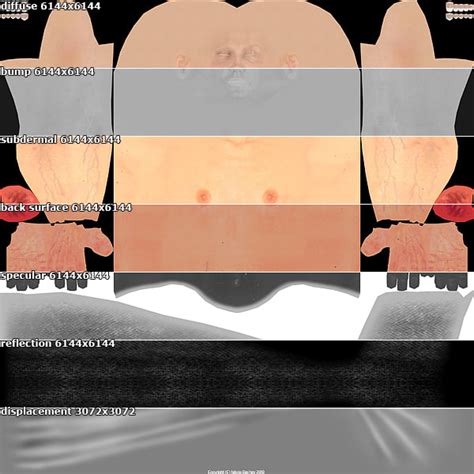 D Hair Daria Max Model