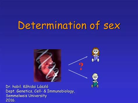 Ppt Sex Determination Genes And Factors Powerpoint Presentation Free Download Id
