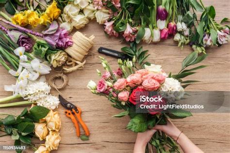 나무 표면에 신선한 꽃의 꽃다발을 들고 꽃집의 자른 보기 가지치기 가위에 대한 스톡 사진 및 기타 이미지 가지치기 가위 꽃 도라지 꽃봉오리 Istock
