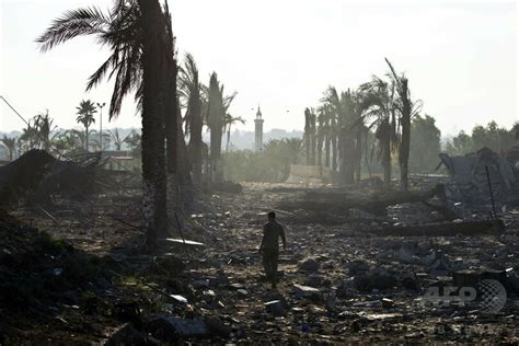 ガザ空爆、地区内の動物園にも大きな被害 写真16枚 国際ニュース：afpbb News