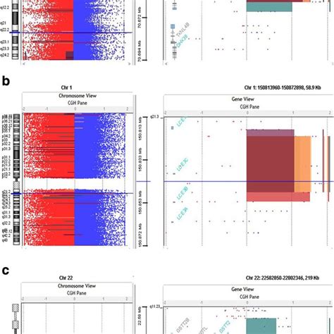 A Array Cgh Profiles Analysis Using Agilent Cytogenomic Analytics Download Scientific Diagram