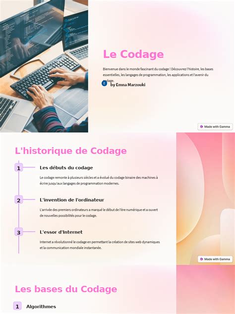 Le Codage Pdf Programmation Informatique Langage De Programmation