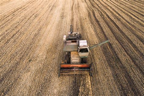 현장에서 일하는 수확기와 밀을 깍는다 우크라이나 공중 보기 가을에 대한 스톡 사진 및 기타 이미지 가을 곡초류 공중 뷰 Istock