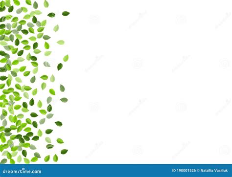 Grassy Leaves Organic Vector Border Forest Royalty Free Stock Image