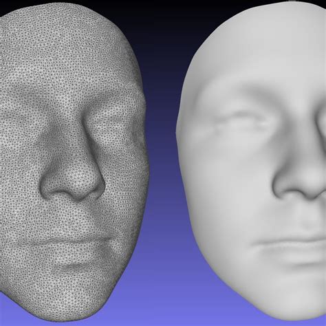 The Averaged Normative Facial Mesh Used As The Atlas For The Non Rigid