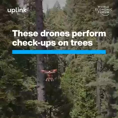 Bhushankumar L On Linkedin Ai Artificialintelligence Ml Deeplearning Techinnovation