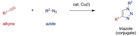 Introduction To Click Chemistry A New Protocol For The Labeling And Modification Of Biomolecules