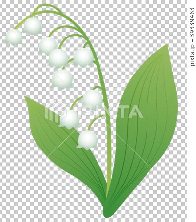 Pixta