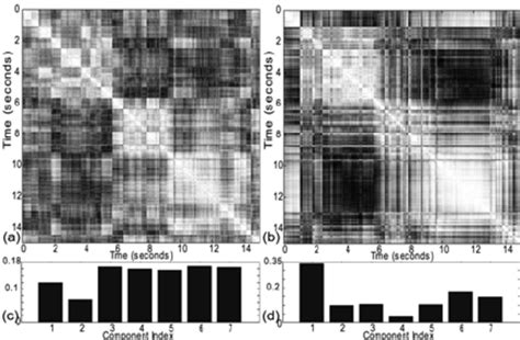 Self Similarity Matrix For Features Weighted By Correlation Criterion