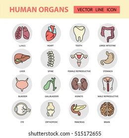 Modern Thin Linear Icons On Theme Stock Vector Royalty Free 394126948 Shutterstock