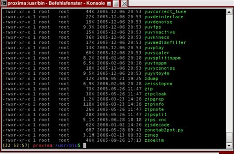 How Do Linux File Permissions Work
