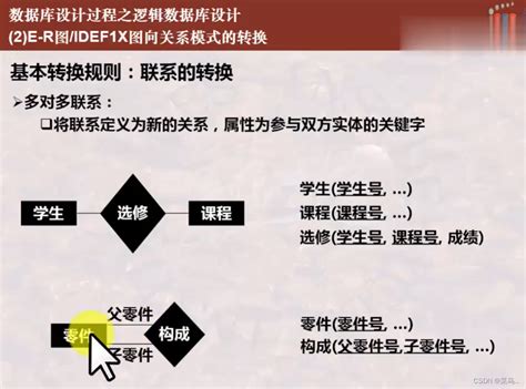 13 数据库设计过程 csdn博客