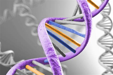6 Amazing Facts About Dna Interesting Facts